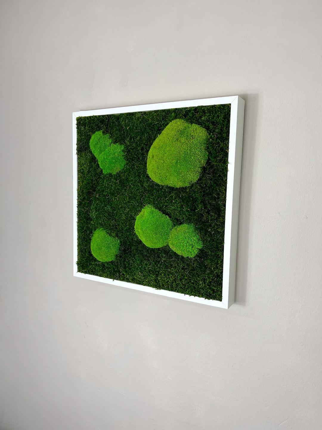 Moss Picture Frame Square Type Flat Moss & Ball Moss - Etsy