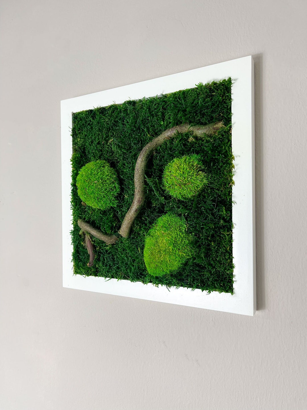 Moss Picture With Wooden Square Frame Color Selection Ballmoss Variety ...