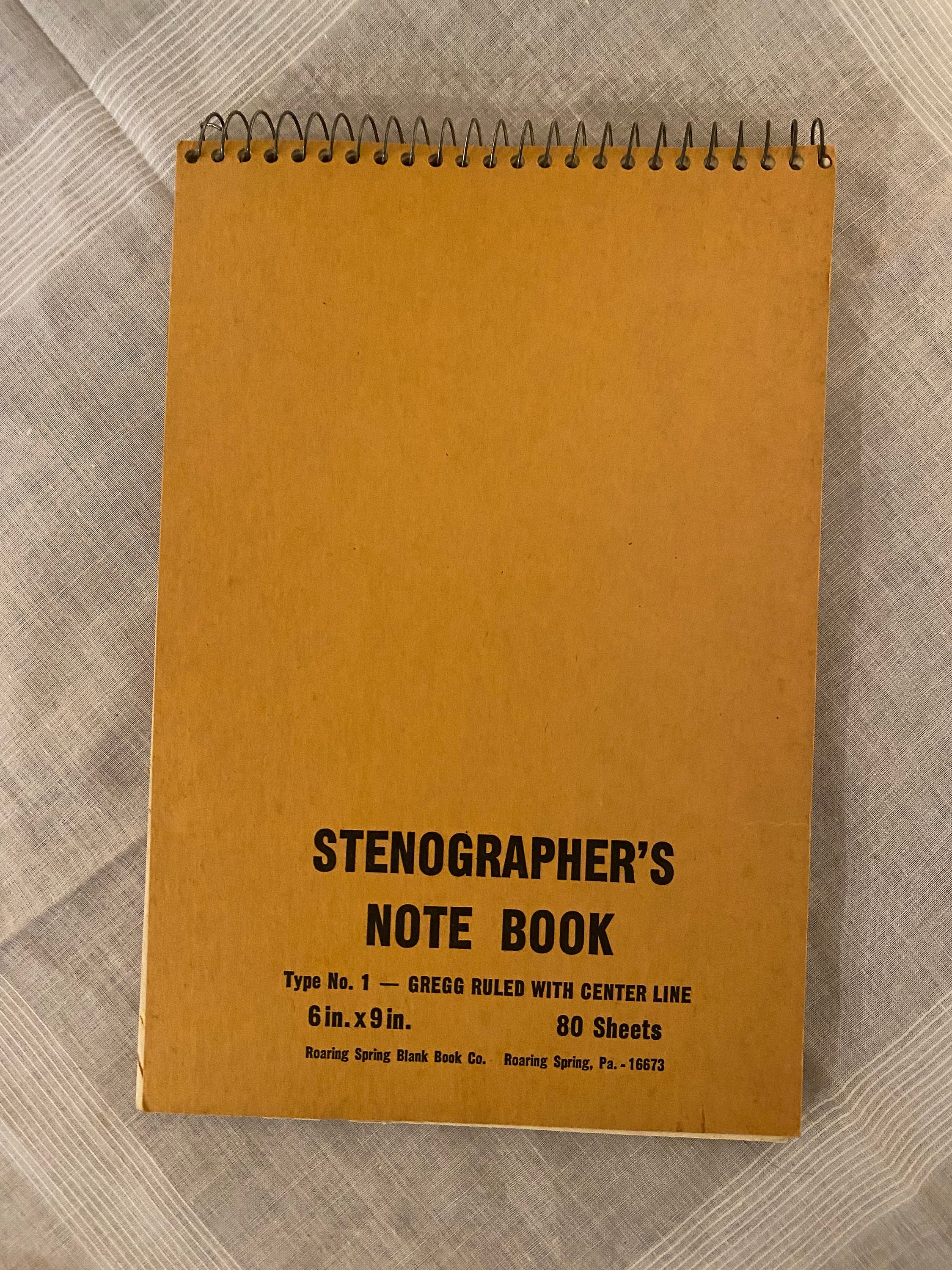 Vintage Stenographer's Notebooks Set of 2 - Etsy