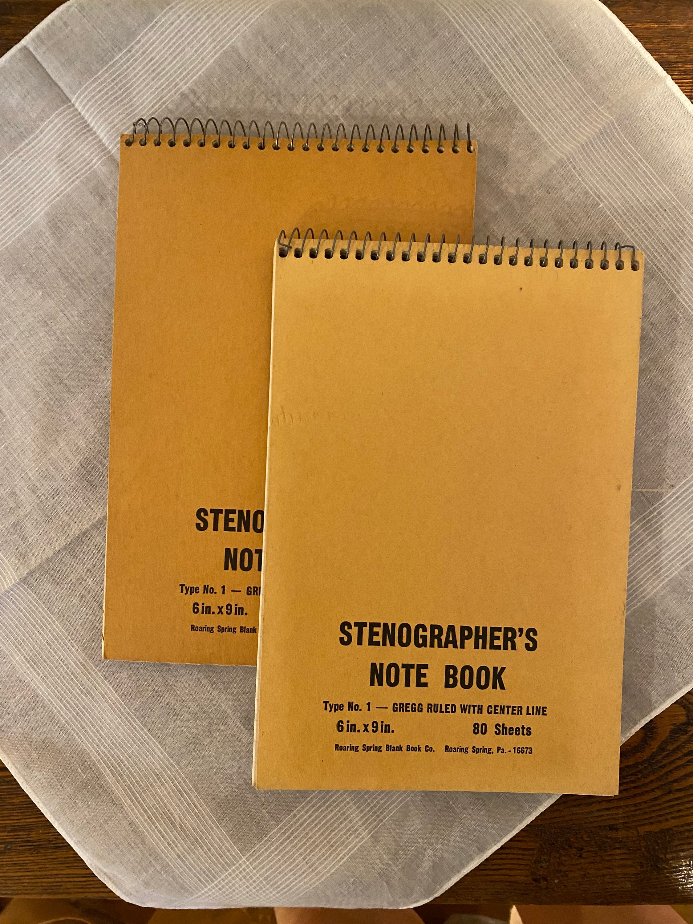 Stenographer Notebook