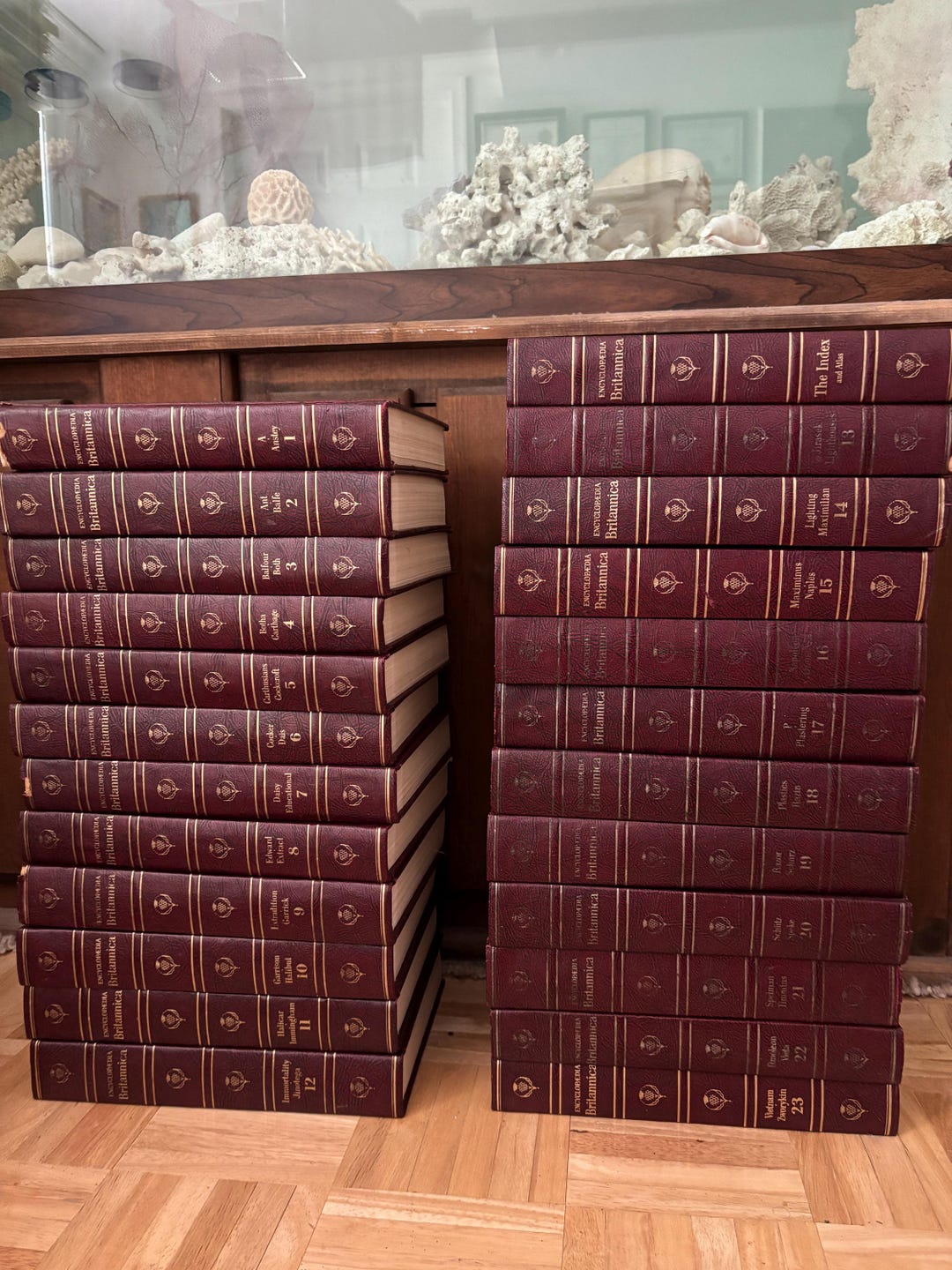 Vintage Encyclopedia Britannica 1969 - Full Set With Index - Etsy