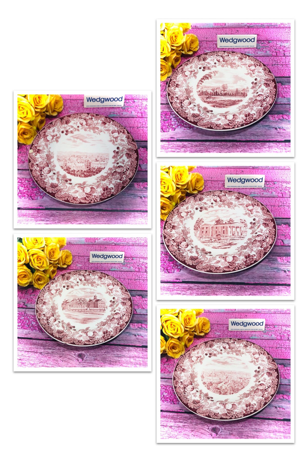 Harvard Dinner Plate Made in England by Wedgwood Choose Law Medical ...