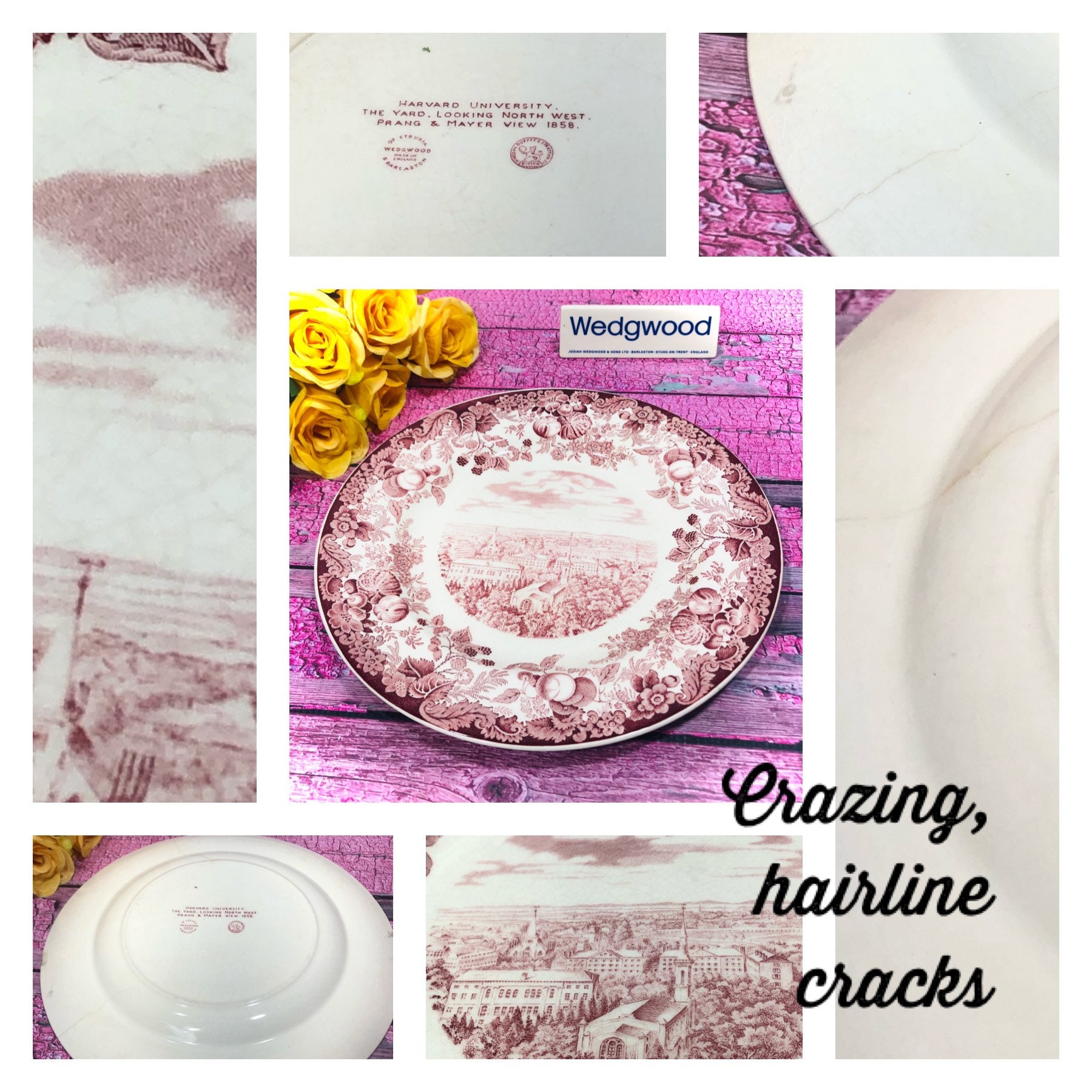 Harvard Dinner Plate Made in England by Wedgwood Choose Law - Etsy