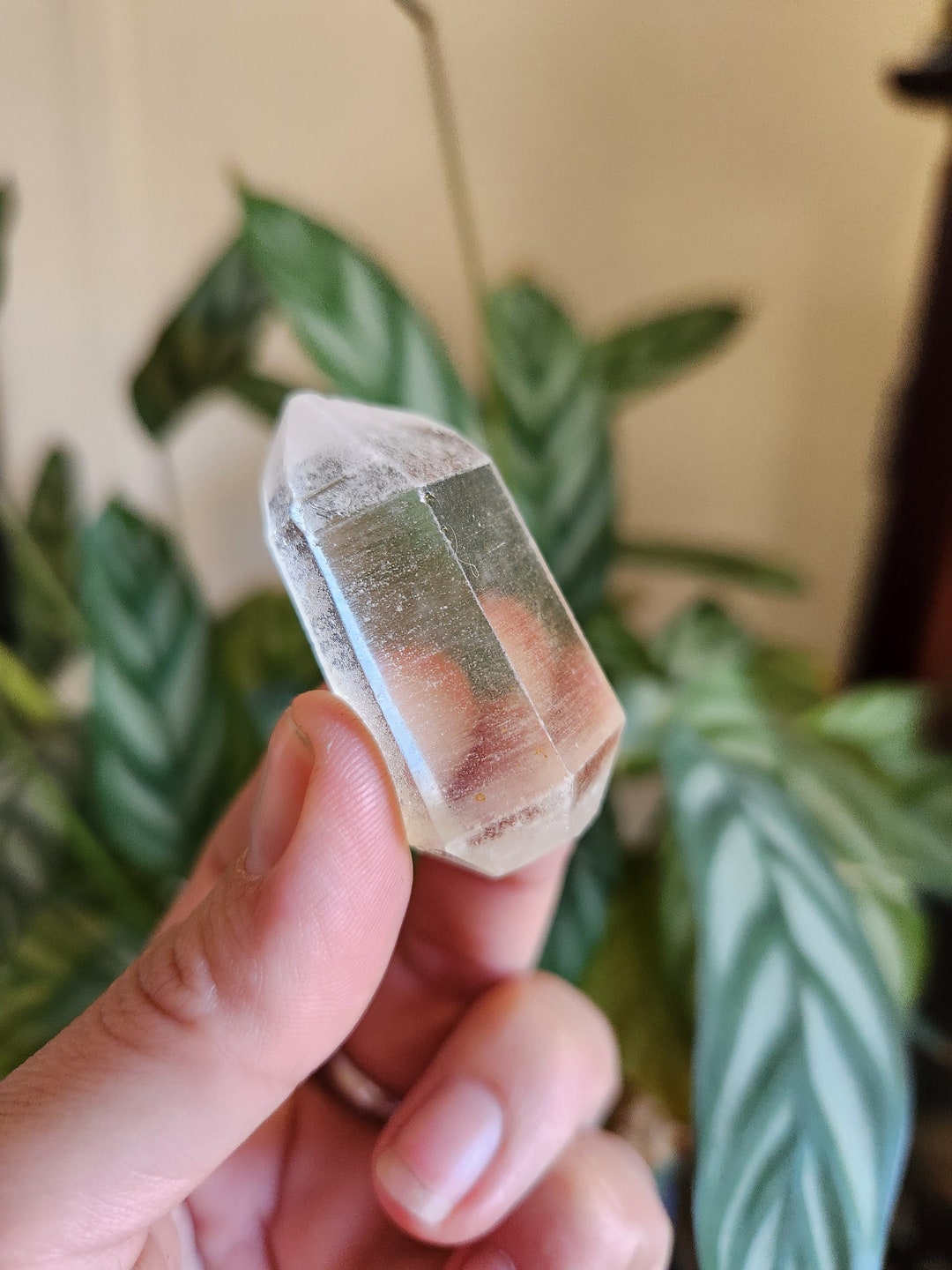 Mysterious Pale Lodolite-etched Double-terminated Lemurian Seed Crystal ...