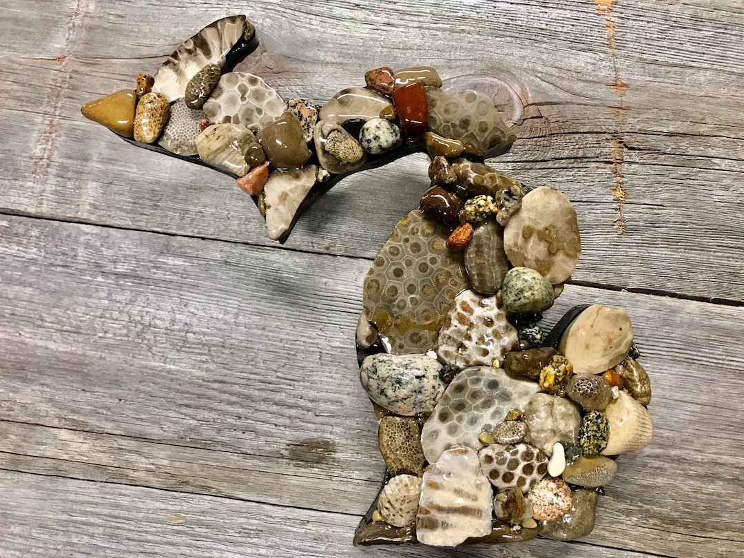 Michigan Rock Collage Featuring Petoskey Stones and Other Native Rocks ...