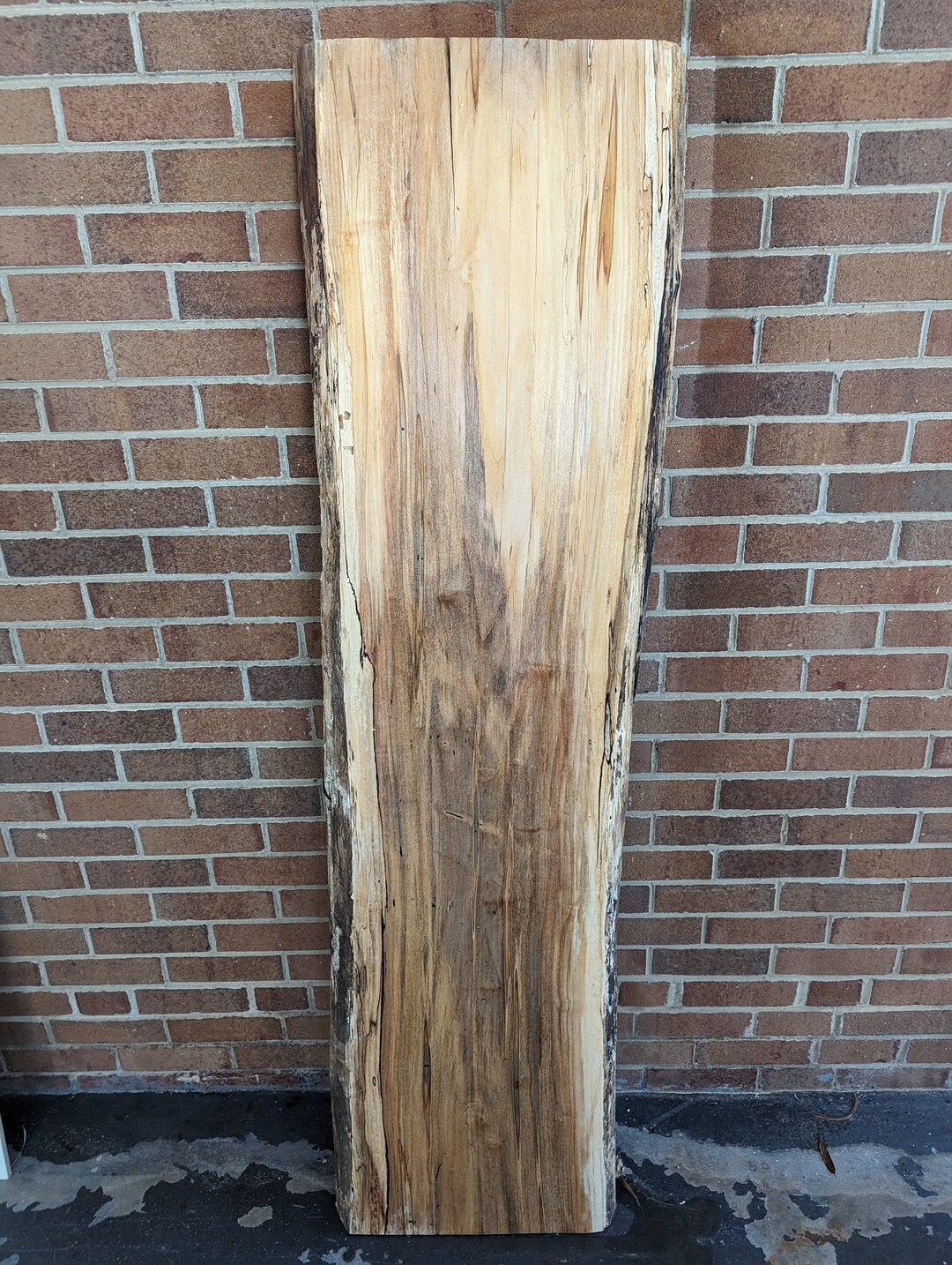 AMBROSIA MAPLE Wood Slab (live Edge) Spalted (bench, Shelf, Table) Nice ...