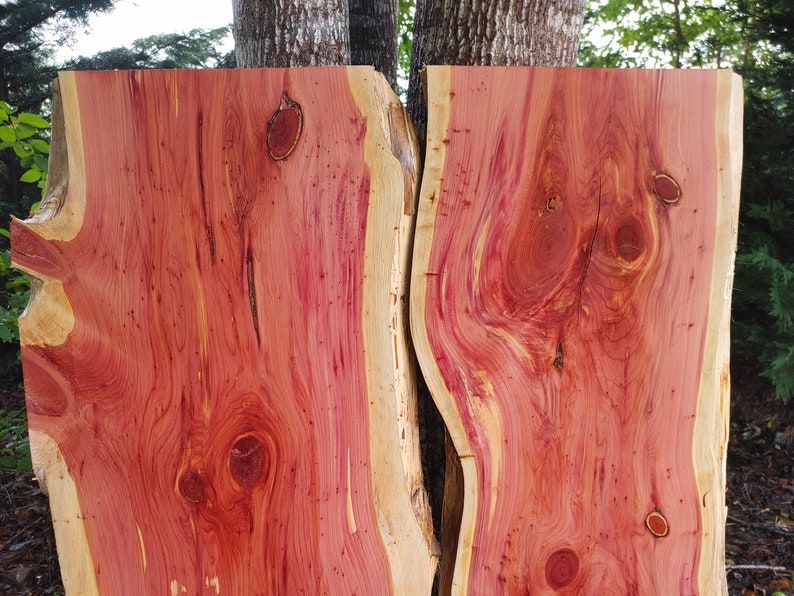 SPALTED CEDAR SLABS (2) (live Edge) River Table Set (thick Slabs) Epoxy ...