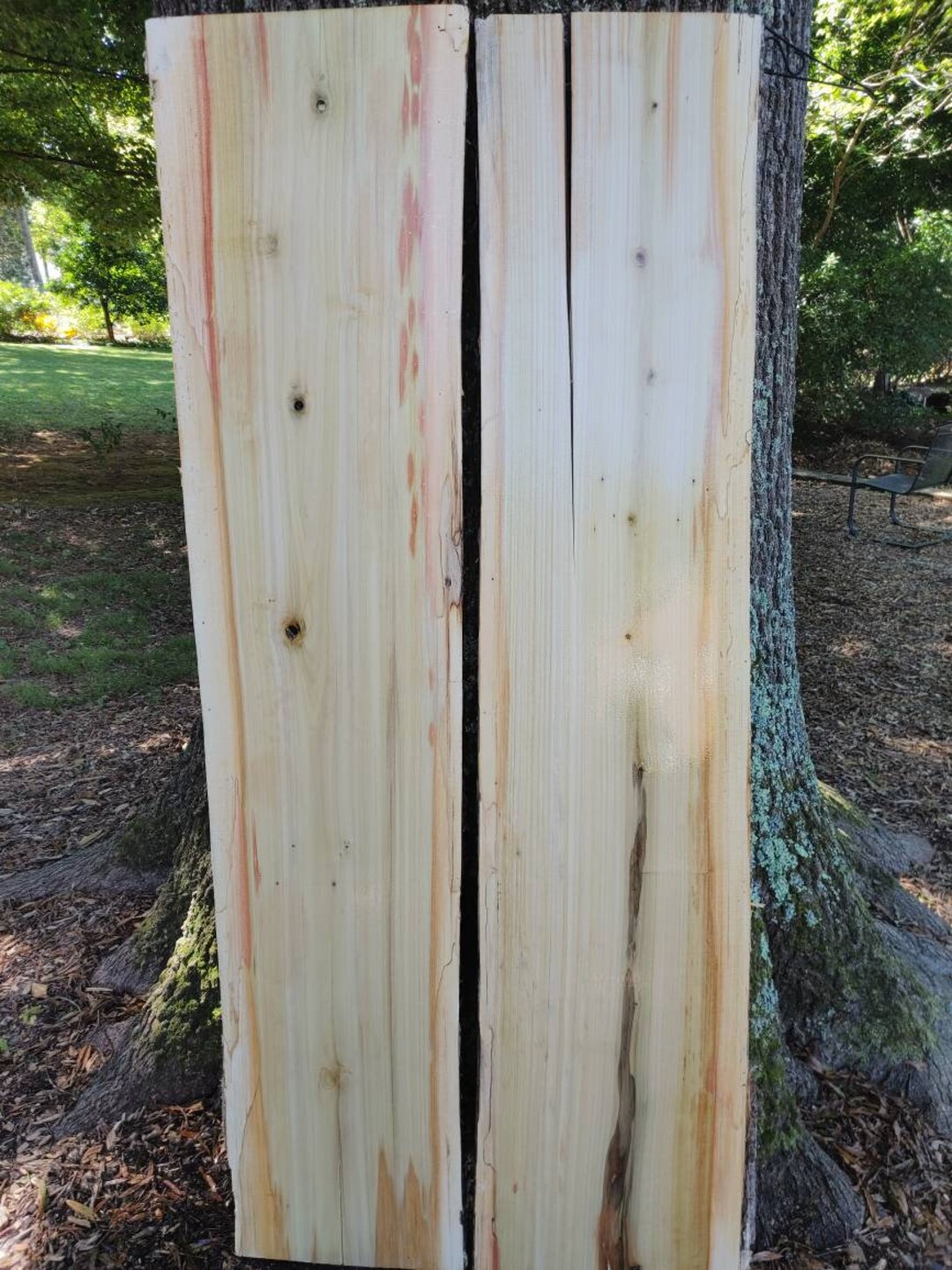 TULIP POPLAR Slabs (2-live Edge Slabs) Spalted, Table Set, Thick - Etsy