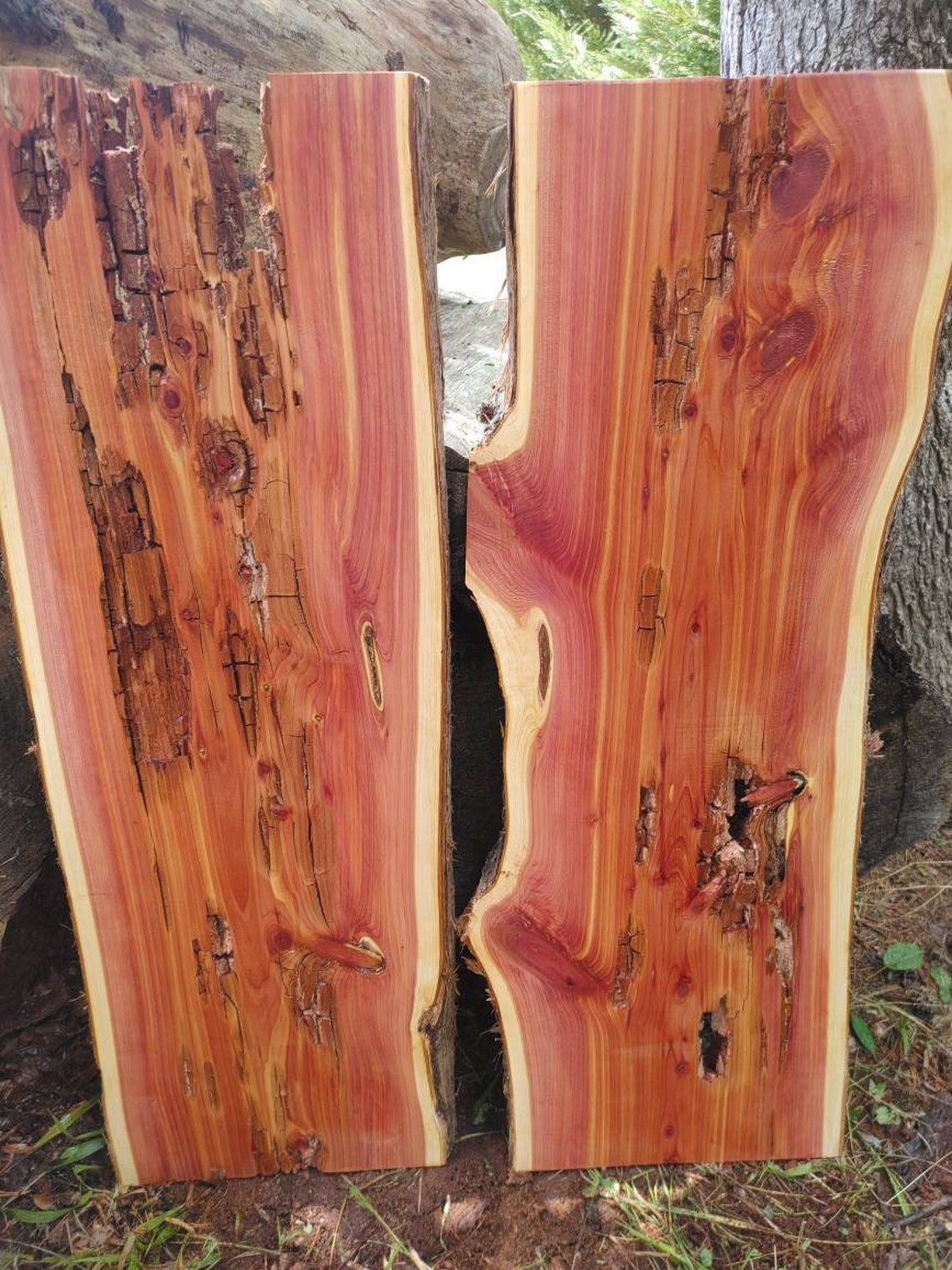 SPALTED CEDAR SLABS 2 live Edge River Table Set thick - Etsy