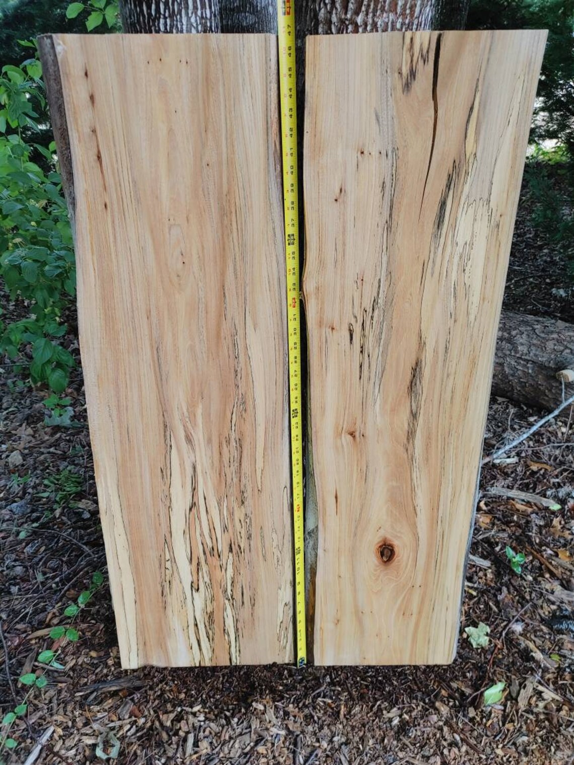 SLIPPERY ELM 2 Slabs live Edge Slabs Spalted thick Slabs - Etsy