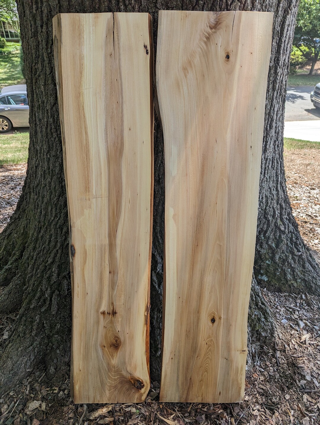 SLIPPERY ELM 2 Slabs live Edge Slabs Spalted thick Slabs Unfinished ...