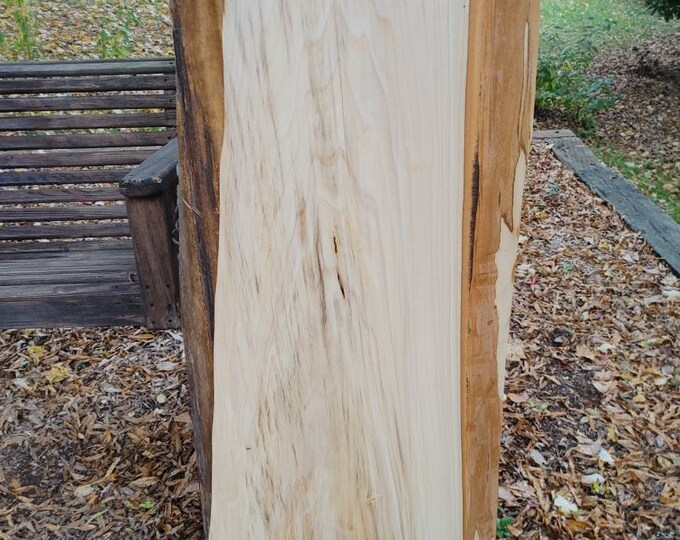 TULIP POPLAR Slab live Edge Thick Slab spalted - Etsy