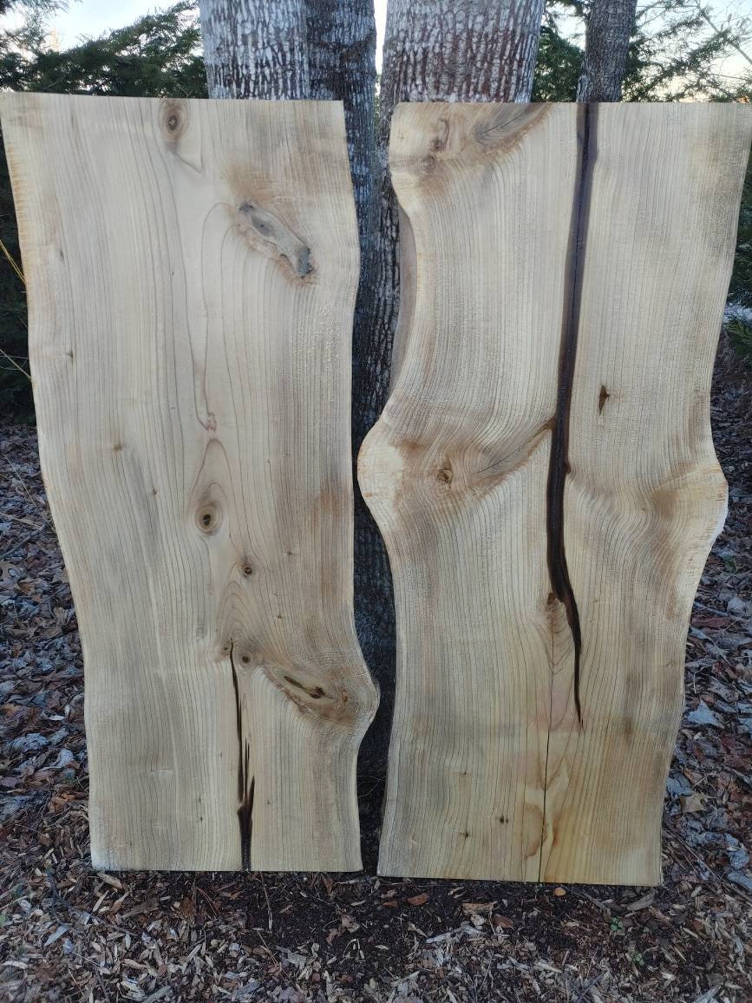 SOUTHERN MAGNOLIA Spalted Slabs. 2 live Edge River Table Set thick Set ...