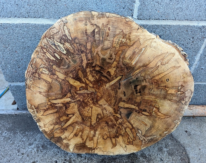 AMBROSIA MAPLE Cookie, Spalted, Slab (live Edge) Tree Slice, Wood ...