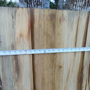 RAINBOW POPLAR (live Edge Slab) (thick Slab) (wide) Split Slab, 2 ...