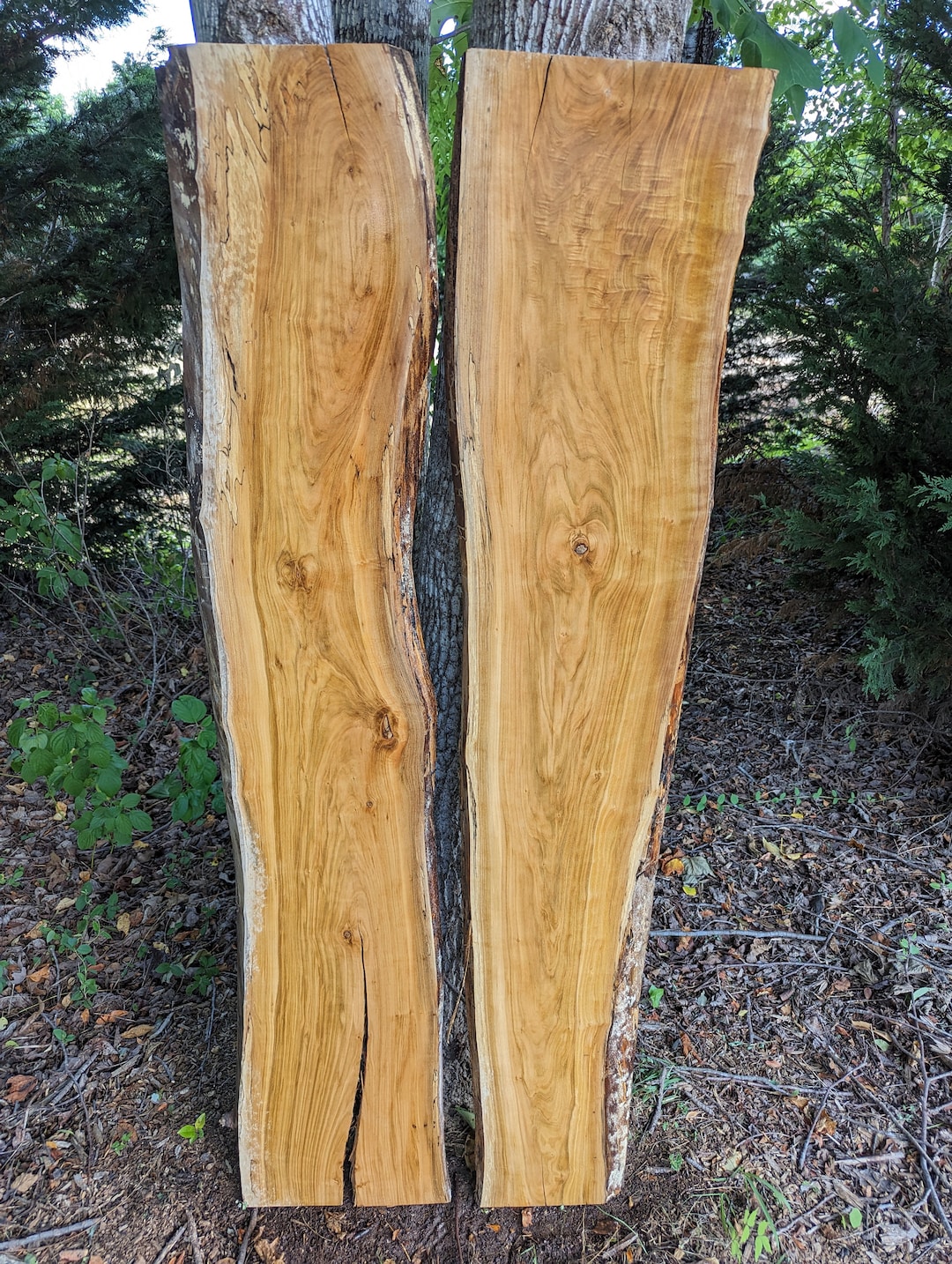 WILD CHERRY Slabs (live Edge) (2) (river Table/platter/epoxy Set) Nice ...