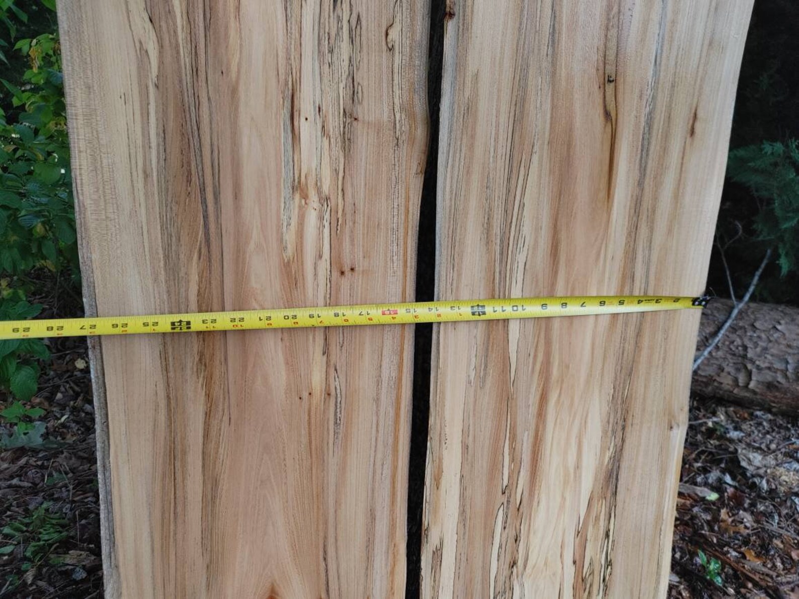 SLIPPERY ELM 2 Slabs live Edge Slabs Spalted thick Slabs - Etsy
