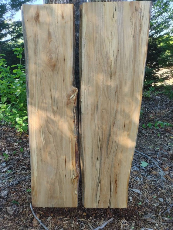 SLIPPERY ELM 2 Slabs live Edge Slabs Spalted thick Slabs - Etsy