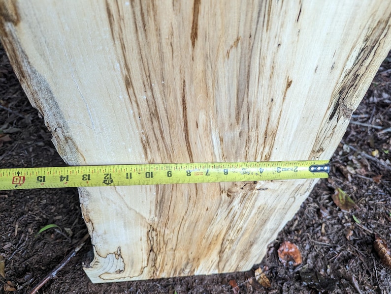 Hackberry (live Edge Slab) Thick Slab. NICE. - Etsy
