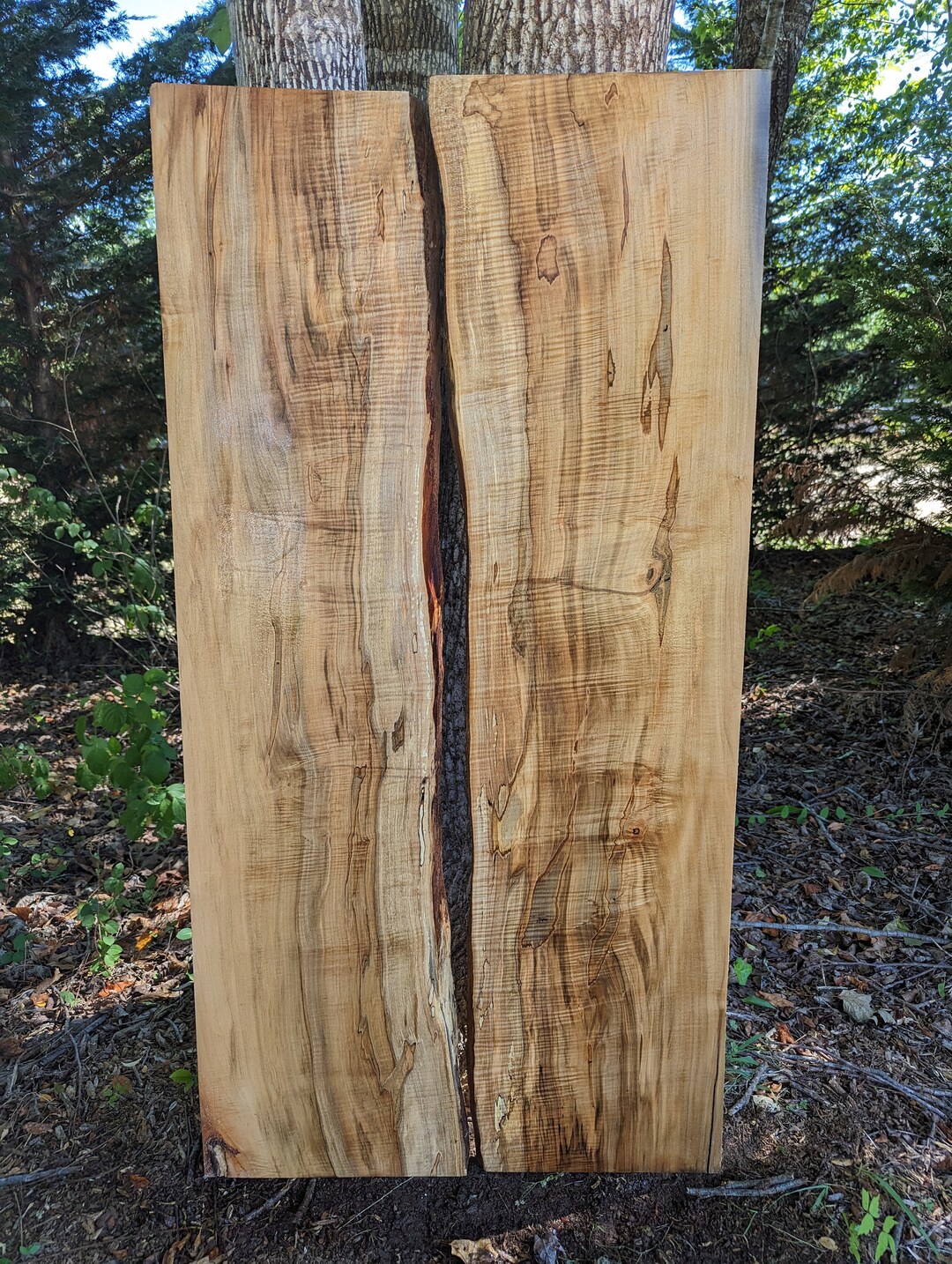 AMBROSIA MAPLE Wood (2 Slabs) Live Slabs (river Table Set) Nice Set ...