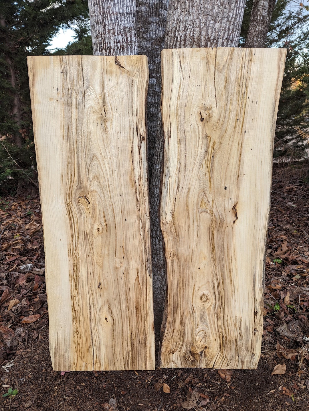 Hackberry live Edge Slabs 2 River Table Set shelving Set Thick Slabs - Etsy