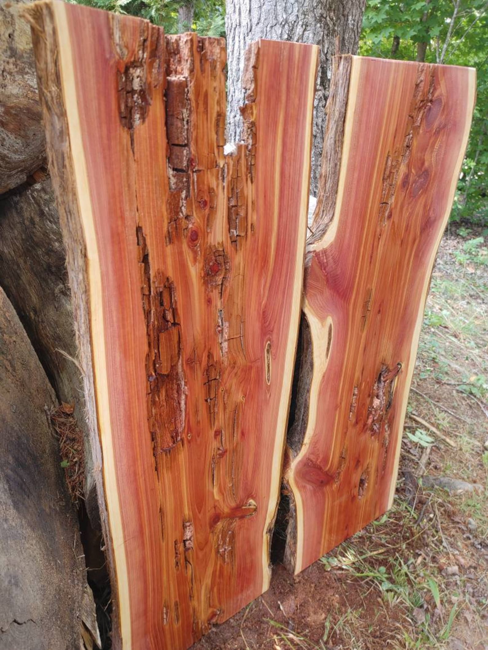SPALTED CEDAR SLABS 2 live Edge River Table Set thick - Etsy