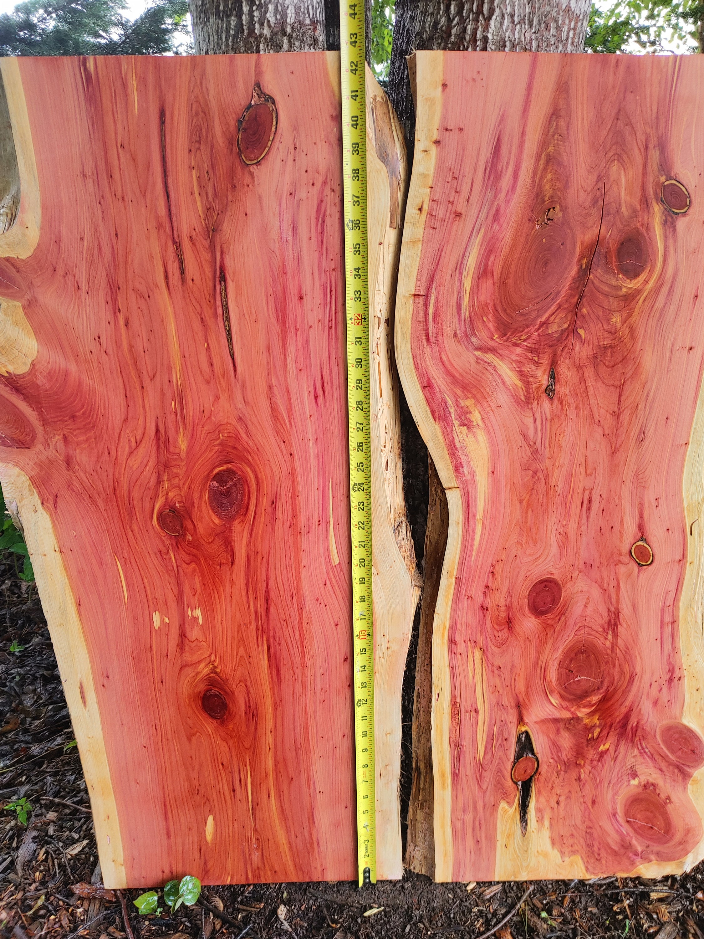 SPALTED CEDAR SLABS (2) (live Edge) River Table Set (thick Slabs) Epoxy ...