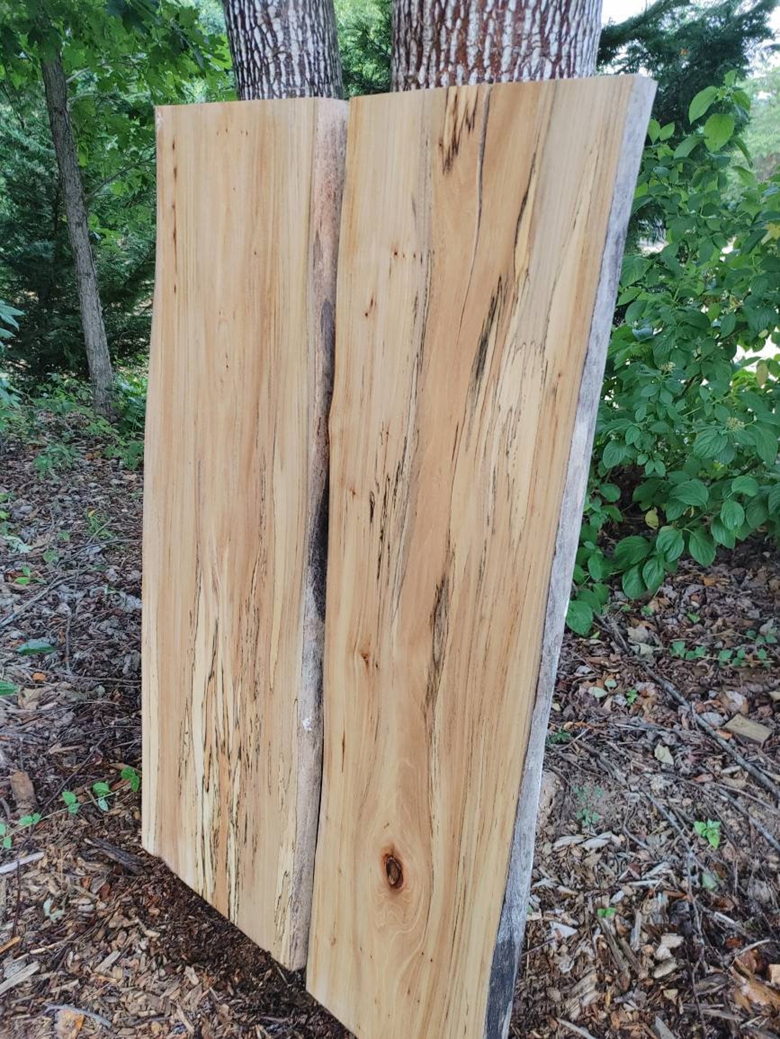 SLIPPERY ELM 2 Slabs live Edge Slabs Spalted thick Slabs - Etsy