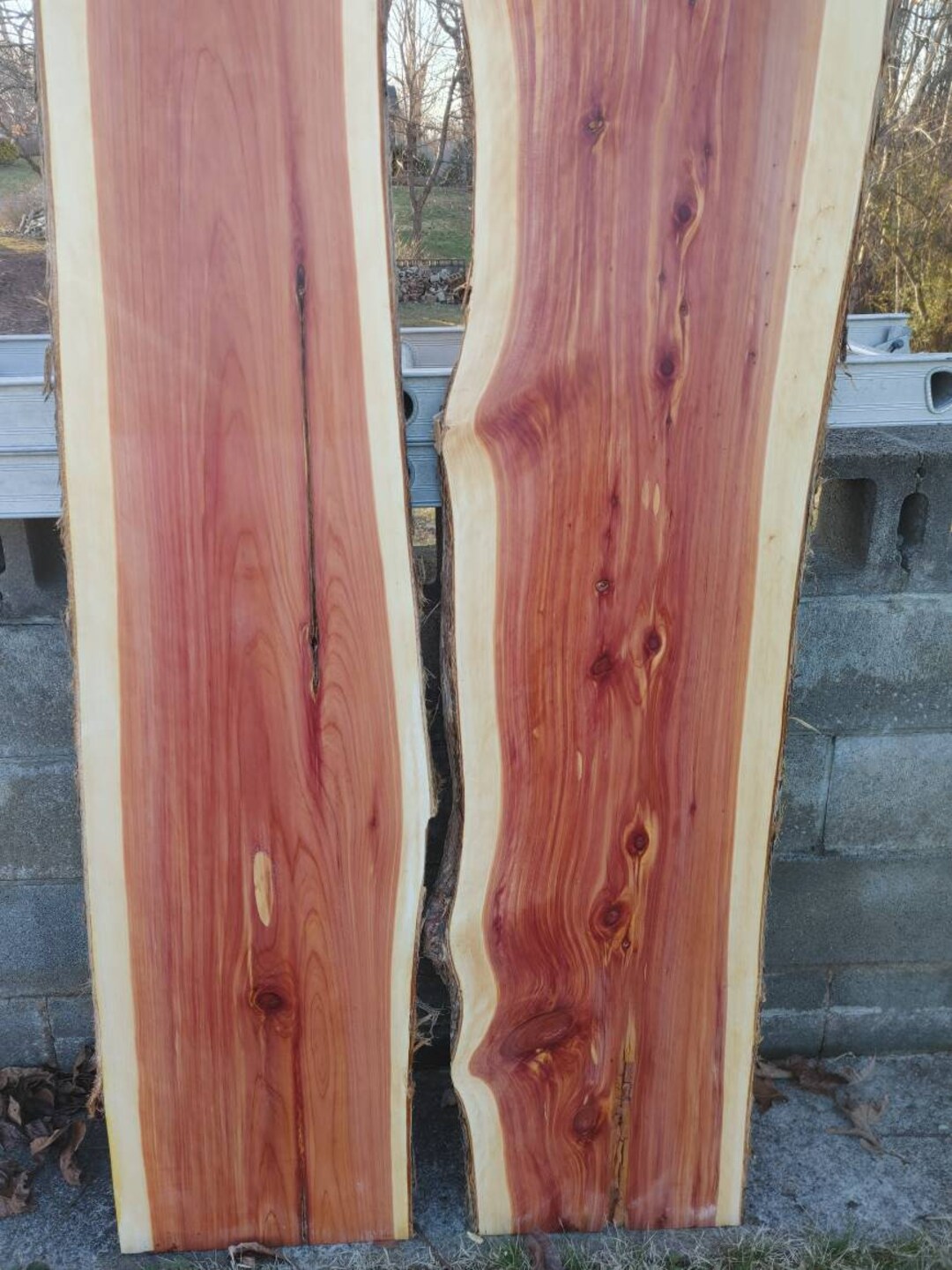 SPALTED CEDAR SLABS 2 live Edge River Table Set thick - Etsy