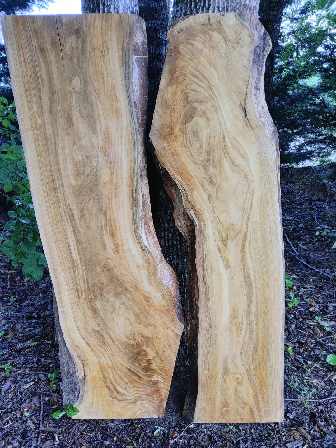 WILD CHERRY Slabs (live Edge) (2) (river Table/platter/epoxy Set) Nice ...