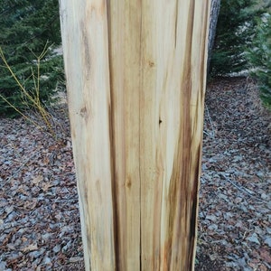 RAINBOW POPLAR (live Edge Slab) (thick Slab) (wide) Split Slab, 2 ...