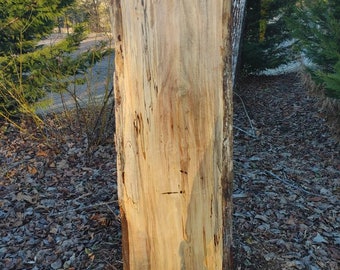 Live Edge Spalted Maple Shelf - Etsy