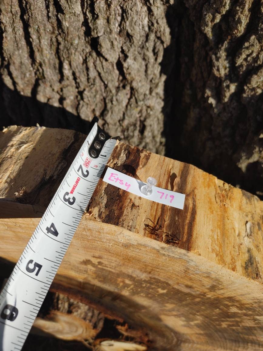 RAINBOW POPLAR Slab live Edge tree Slice Wood Cookie - Etsy