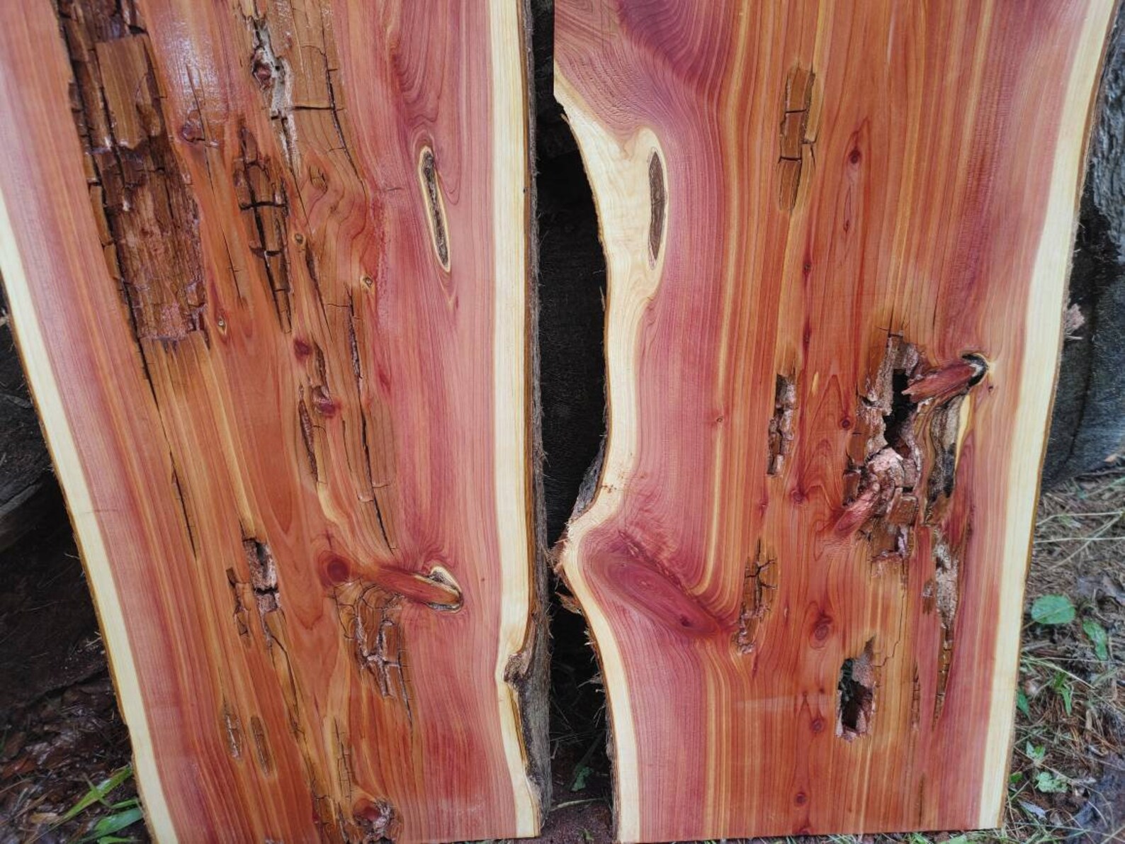 SPALTED CEDAR SLABS 2 live Edge River Table Set thick - Etsy