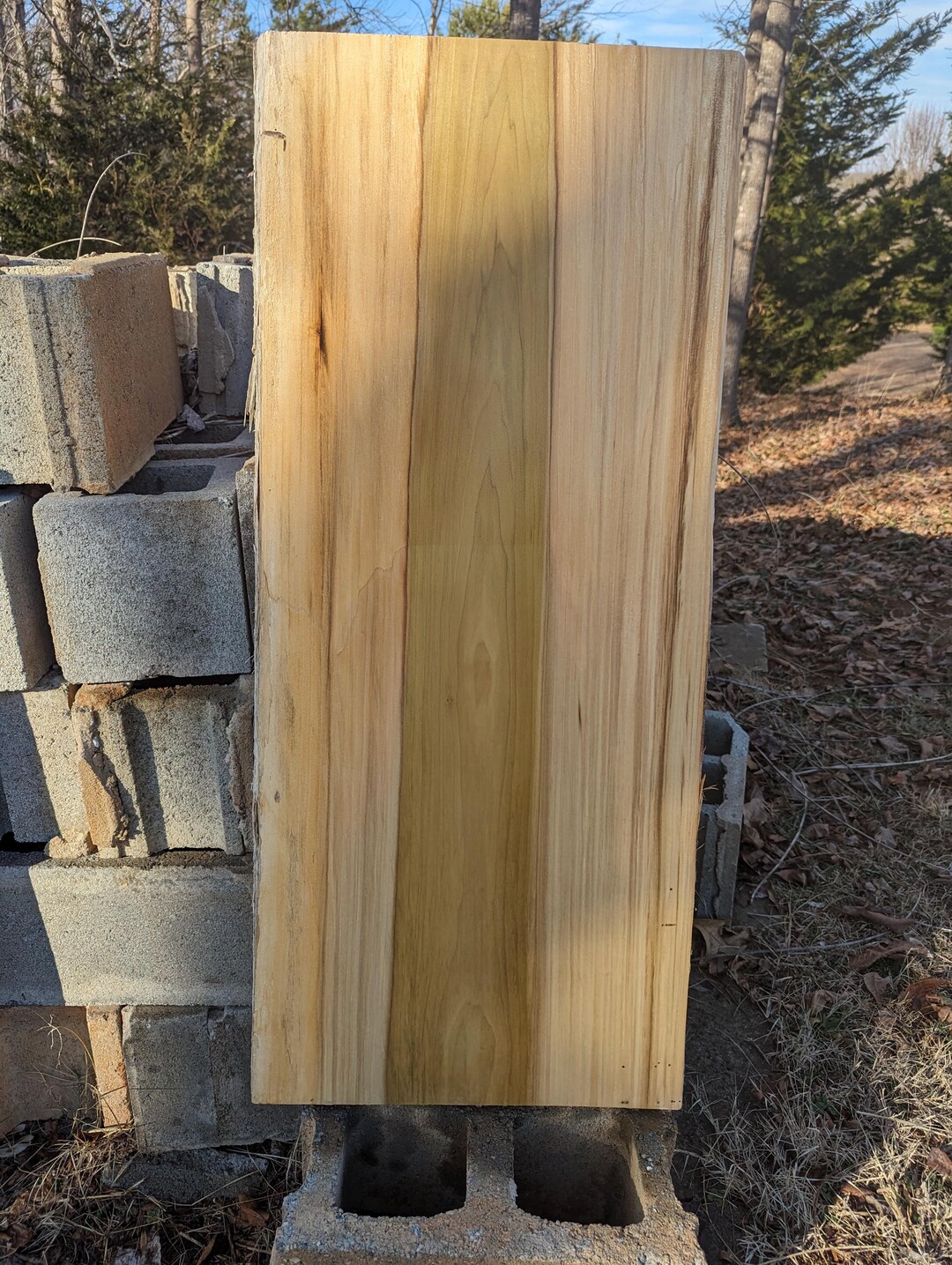 Rainbow/tulip POPLAR (live Edge Slab) (thick Slab) (wide) Unfinished ...