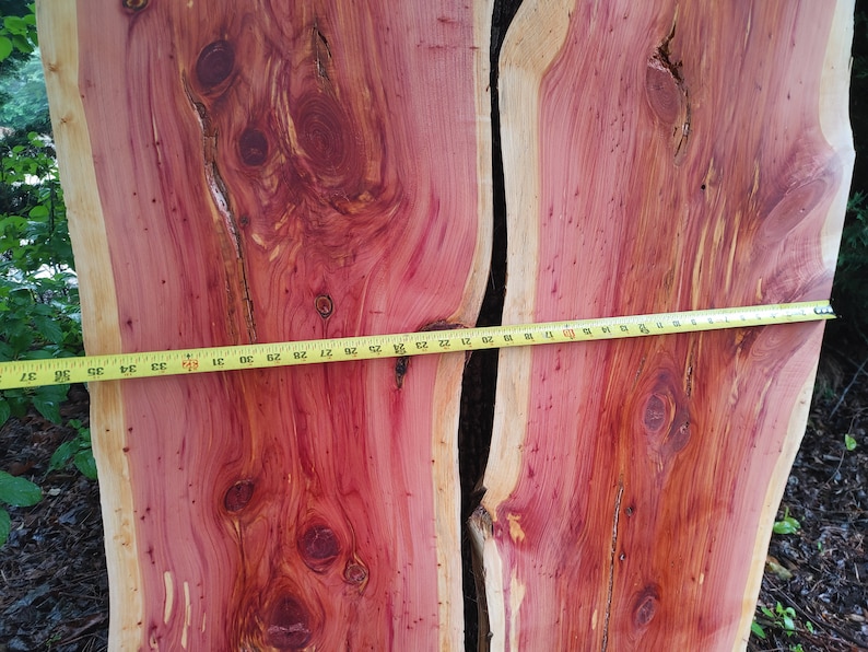SPALTED CEDAR SLABS (2) (live Edge) River Table Set (thick Slabs) Epoxy ...