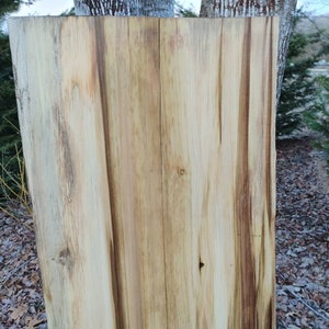 RAINBOW POPLAR (live Edge Slab) (thick Slab) (wide) Split Slab, 2 ...
