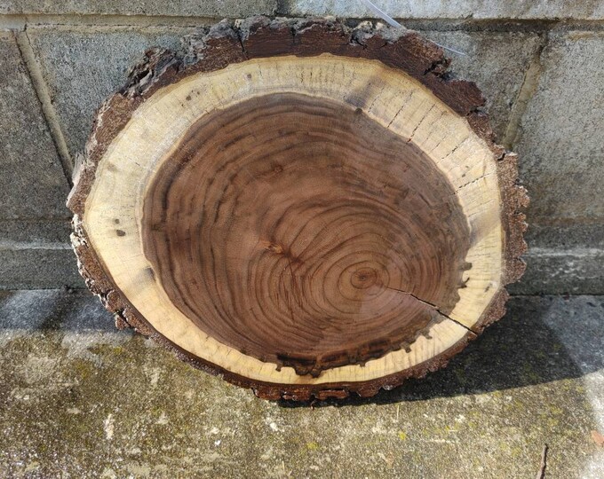 BLACK WALNUT Slab live Edge tree Slice, Wood Cookie, Table Top Thick ...