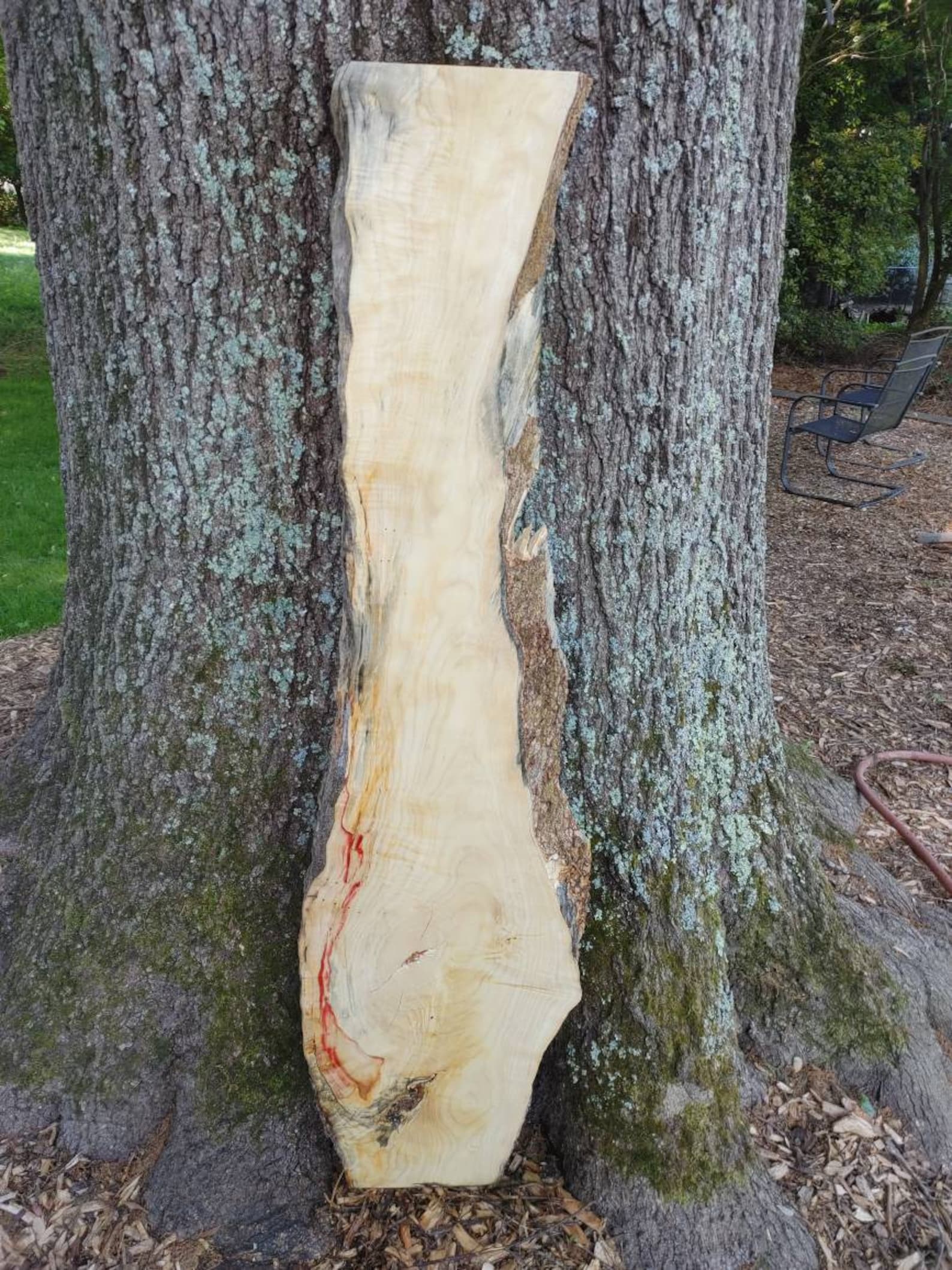 Box Elder Maple Live Edge Red Flame Wood thick slab | Etsy