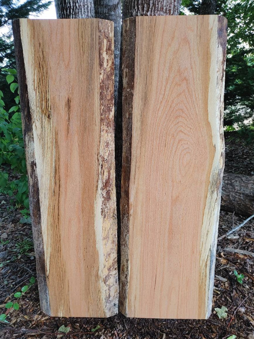 Red Oak Slabs (live Edge) 2 Slabs (river Table Set) Thick Slabs ...