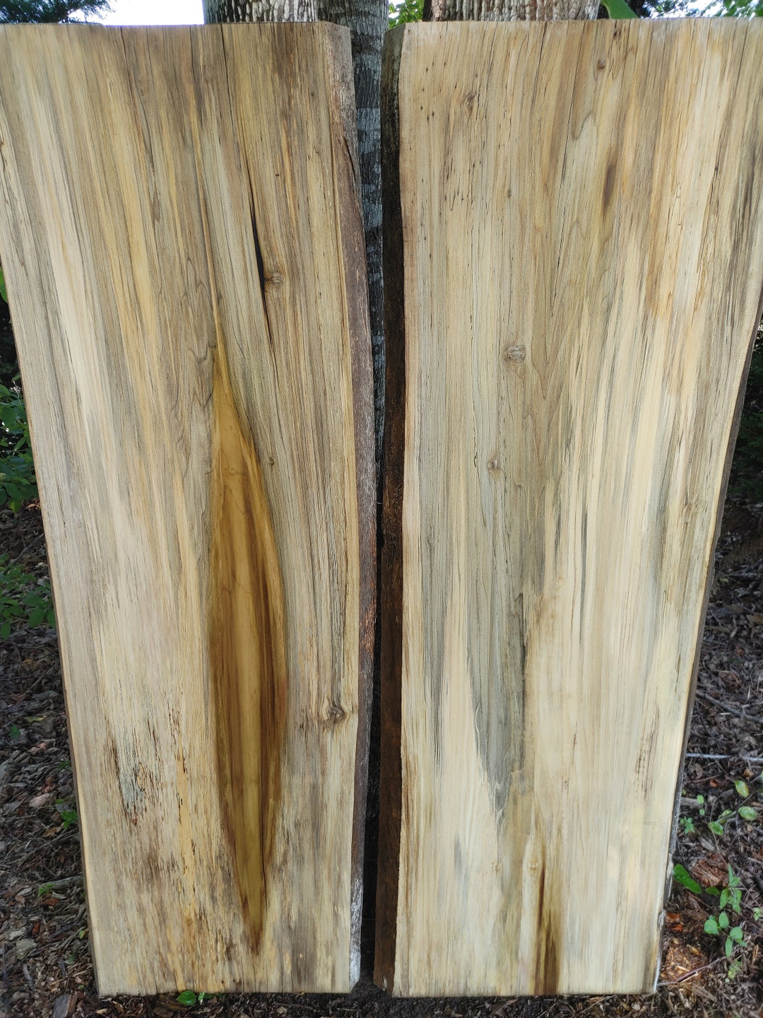 RAINBOW POPLAR live Edge Slabs 2 River Table Set thick Slabs Wide Set ...