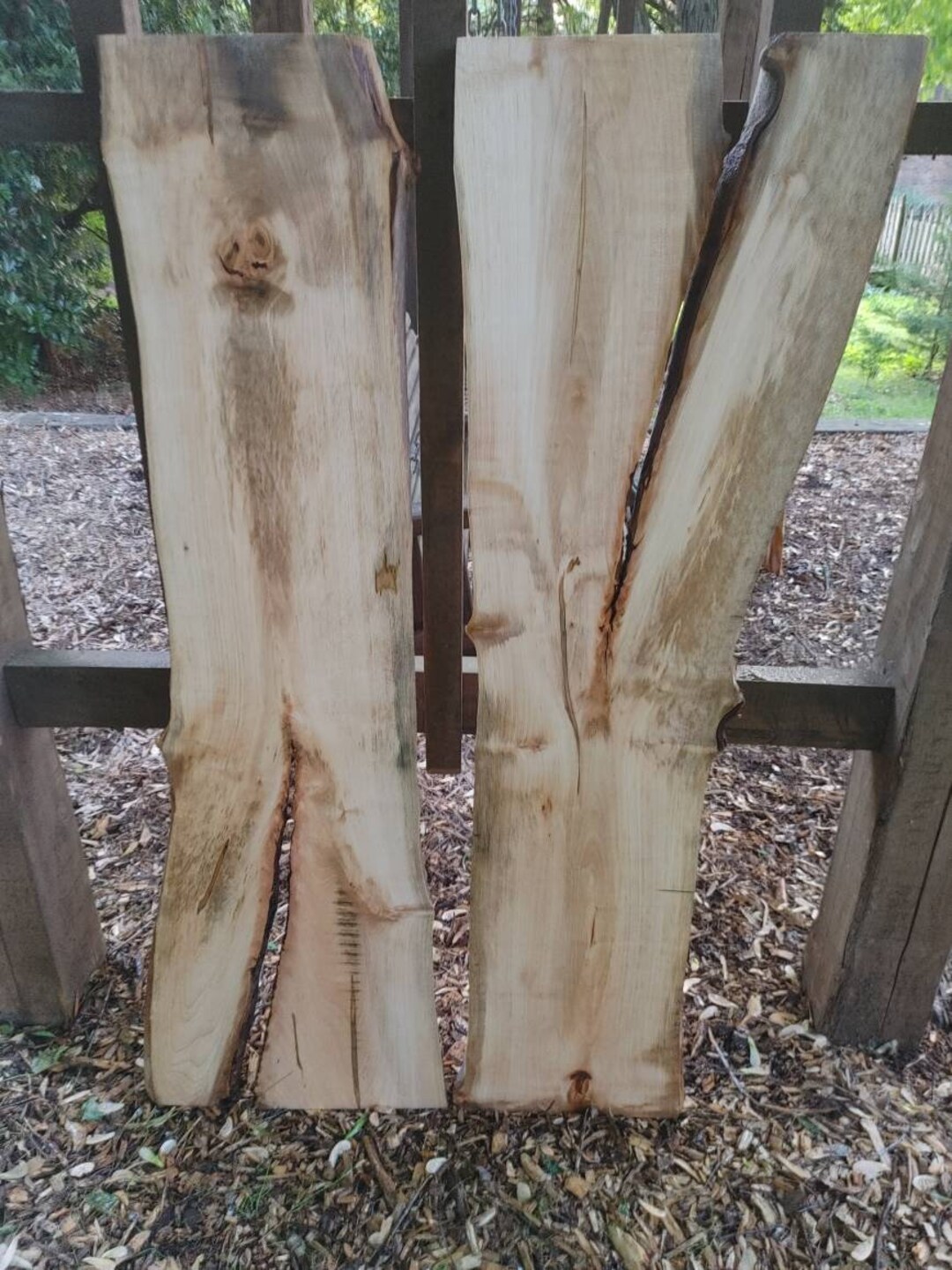 AMBROSIA MAPLE Wood Slabs (live Edge) 2 Slabs (river Table Set) (epoxy ...