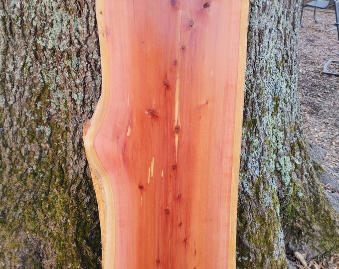 SPALTED CEDAR Slab (live Edge) Thick Slab. - Etsy