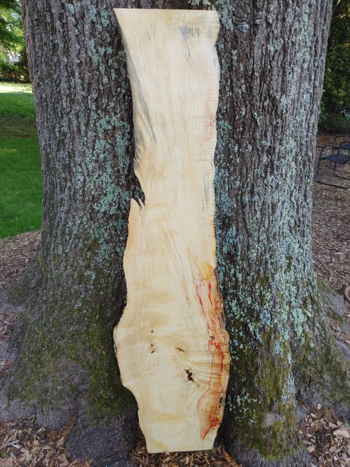 Box Elder Maple live Edge Red Flame Wood thick Slab - Etsy