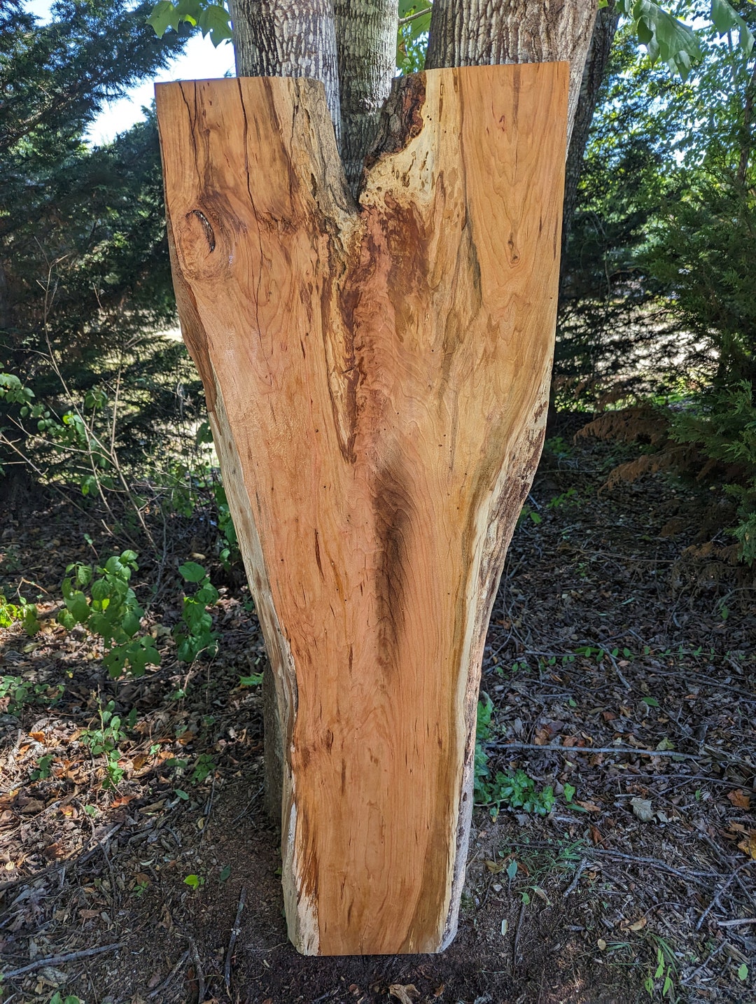 Wild CHERRY Slab (live Edge) Crotch Figure, Nice. - Etsy