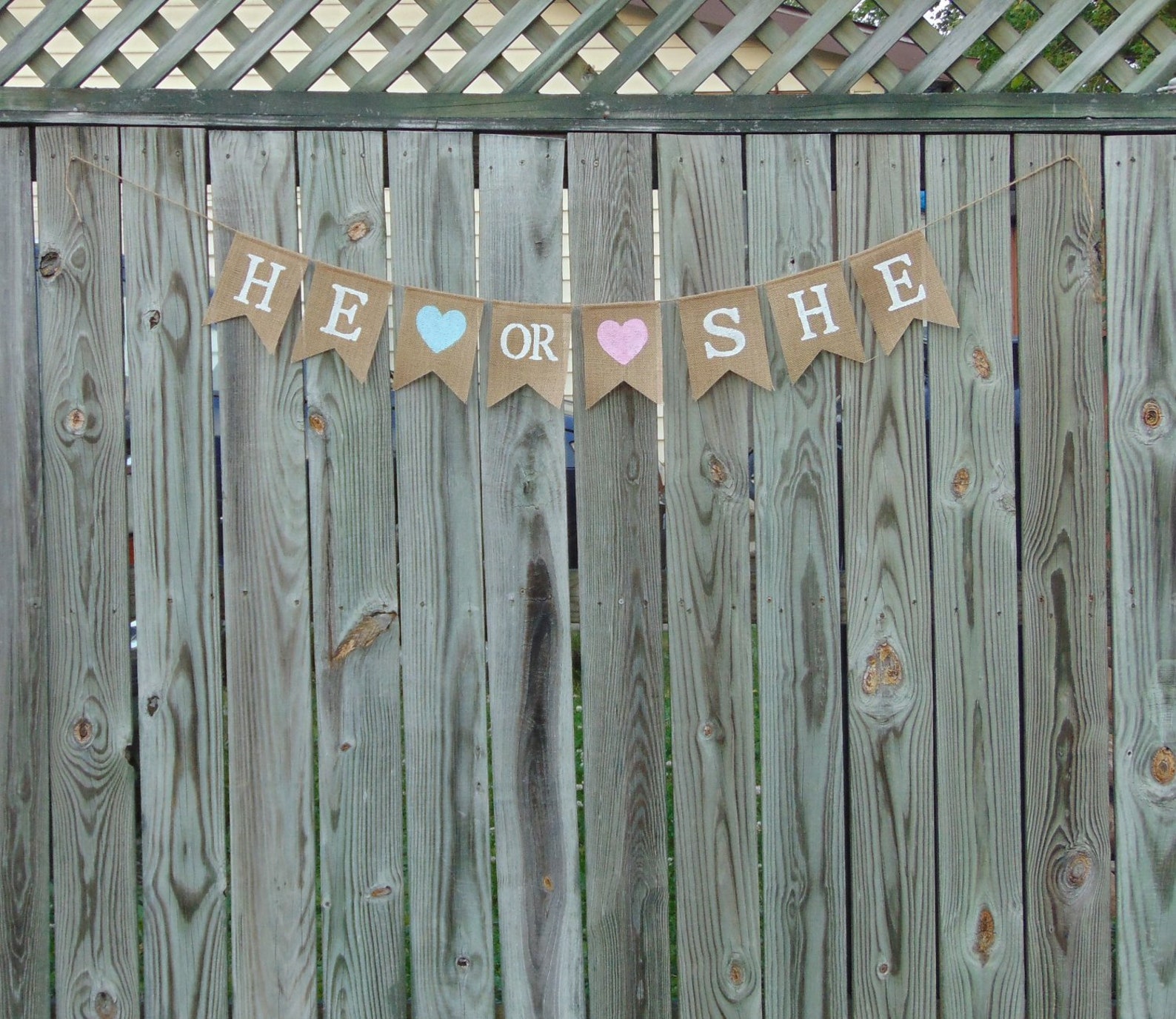 He Or She Banner Gender Reveal Banner Gender Reveal Etsy