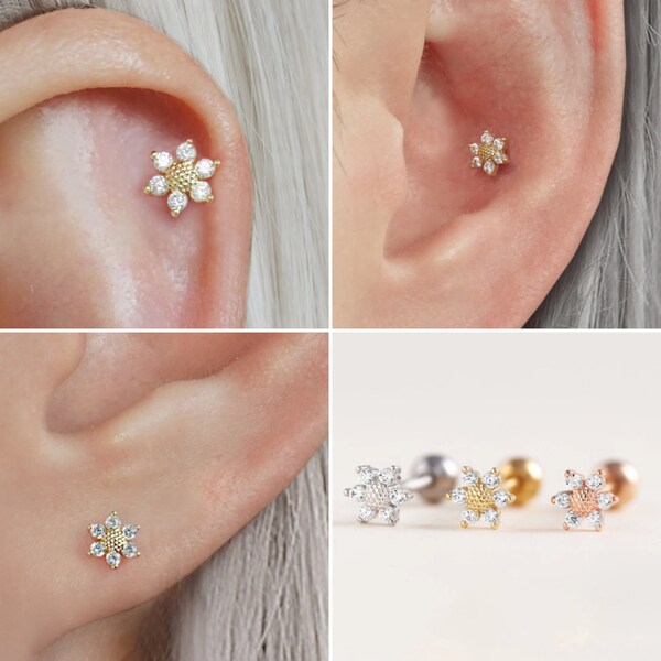 Conch Earrings - Etsy