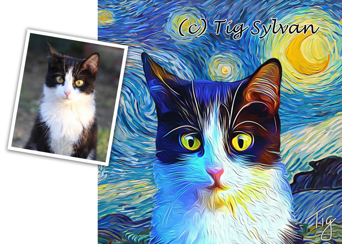 DIGITAL Starry Night Portrait of Your Pet, Custom Pet Art From Photo ...
