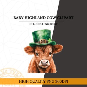 Highland Baby Cow Watercolor Png Clipart, Saint Patrick's Day Clip Art ...