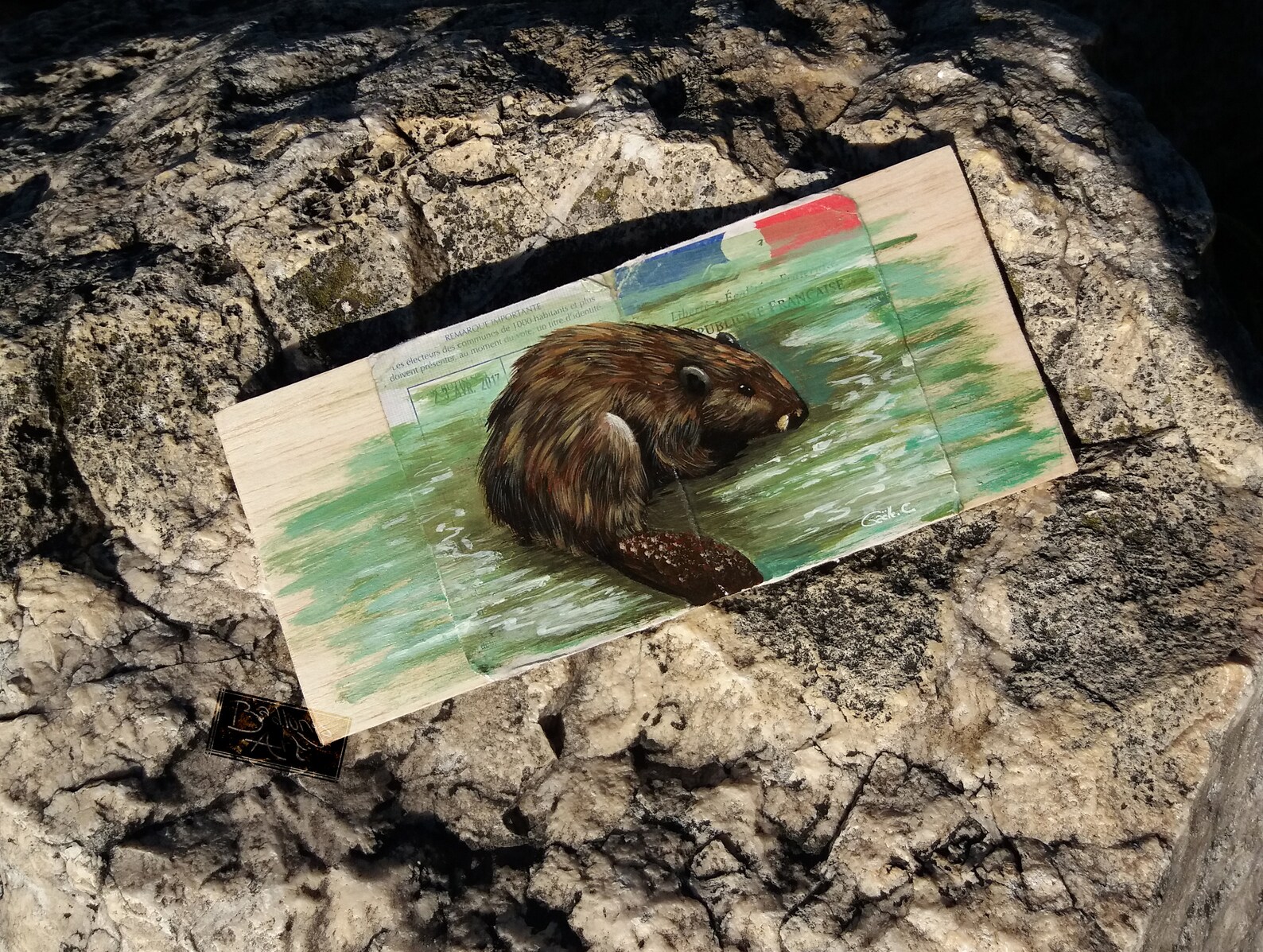 Beaver in Water - Acrylic Painting on Wood - Etsy